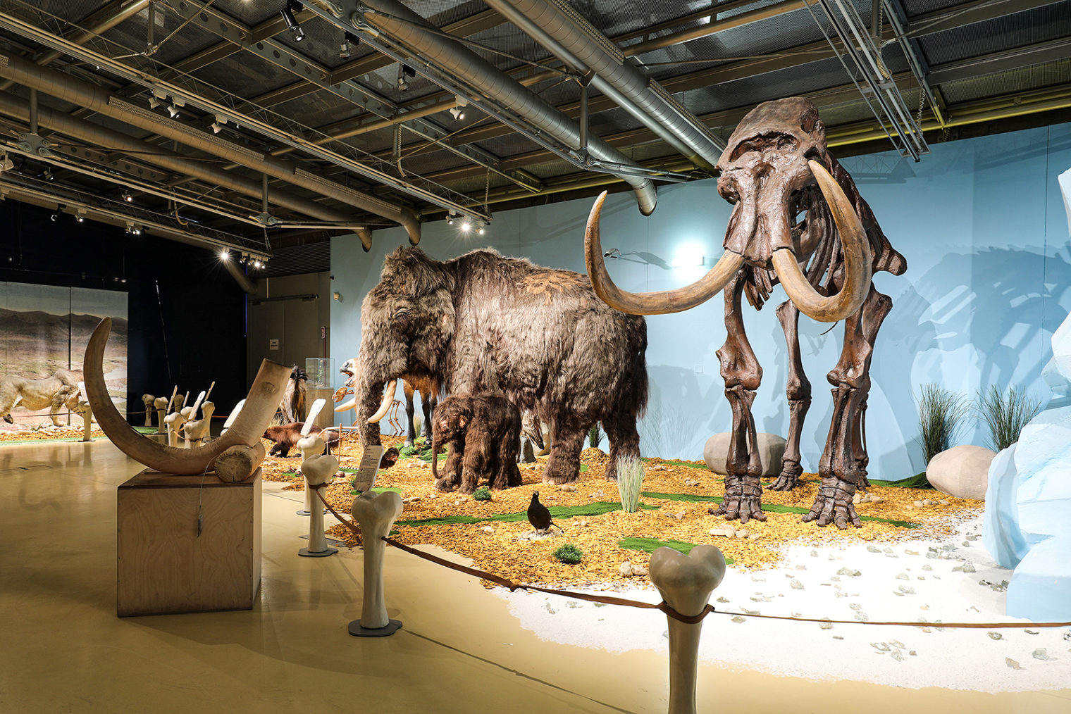 MuseumsCenter & Kunsthalle - Stadt Leoben