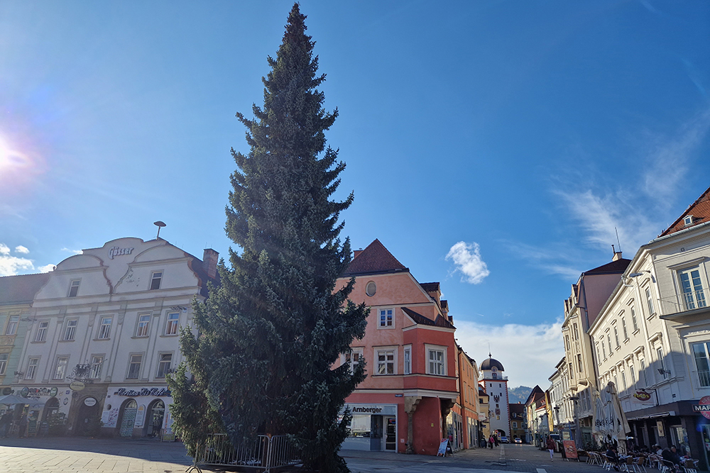 Christbaum am Leobener Hauptplatz aufgestellt - Stadt Leoben
